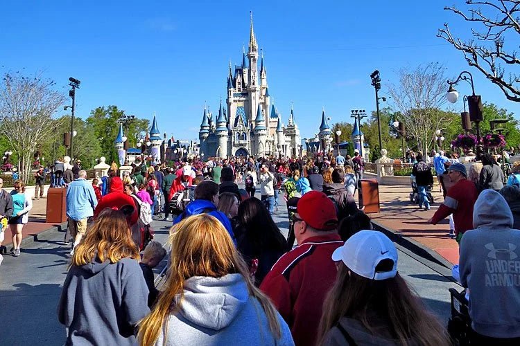 The Elite Guide to Disney Fan Apparel and Collectibles: 2026 Standards ...